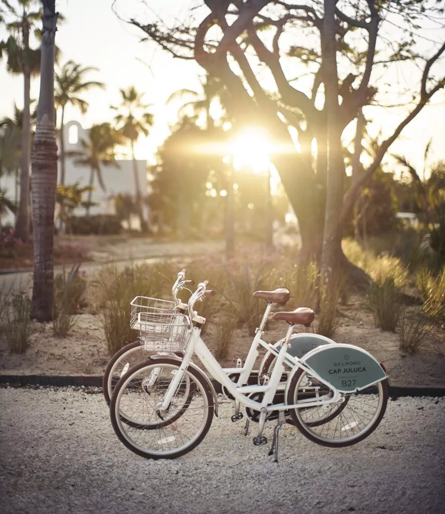 The Best Islands to Stay In the Caribbean | Lartisien